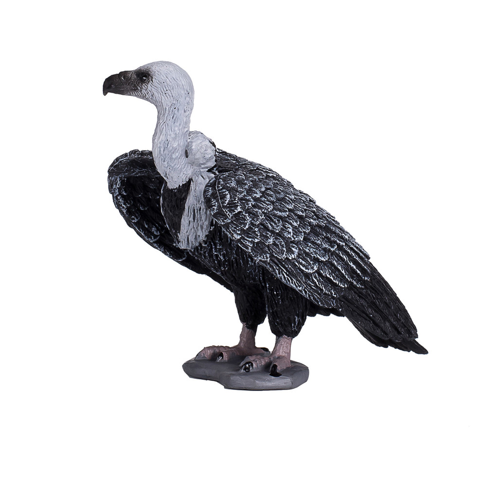 Mojo 387165 GRIFFON VULTURE Wild zoo animals play model figure toys plastic forest bird | Shopee ...