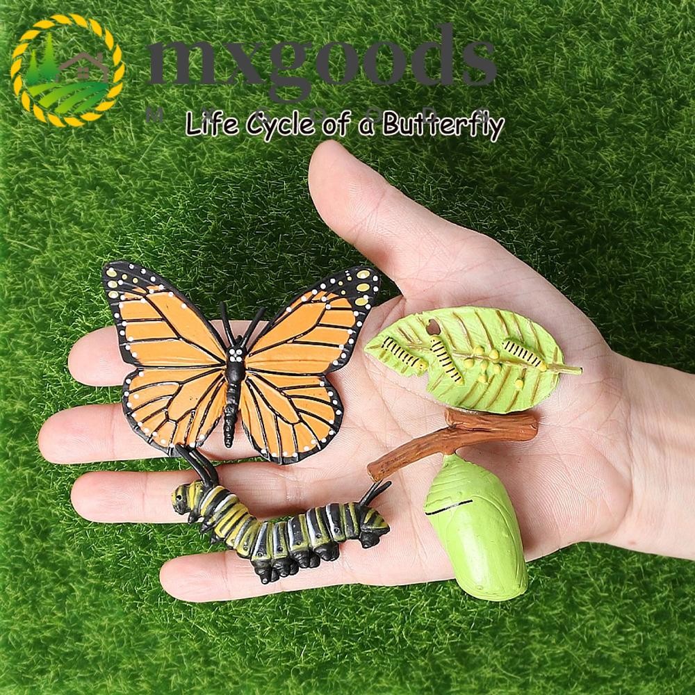 MXGOODS Growth Cycle Model Insect Animals Science Toy Butterfly Growth Cycle Kids Toy ...