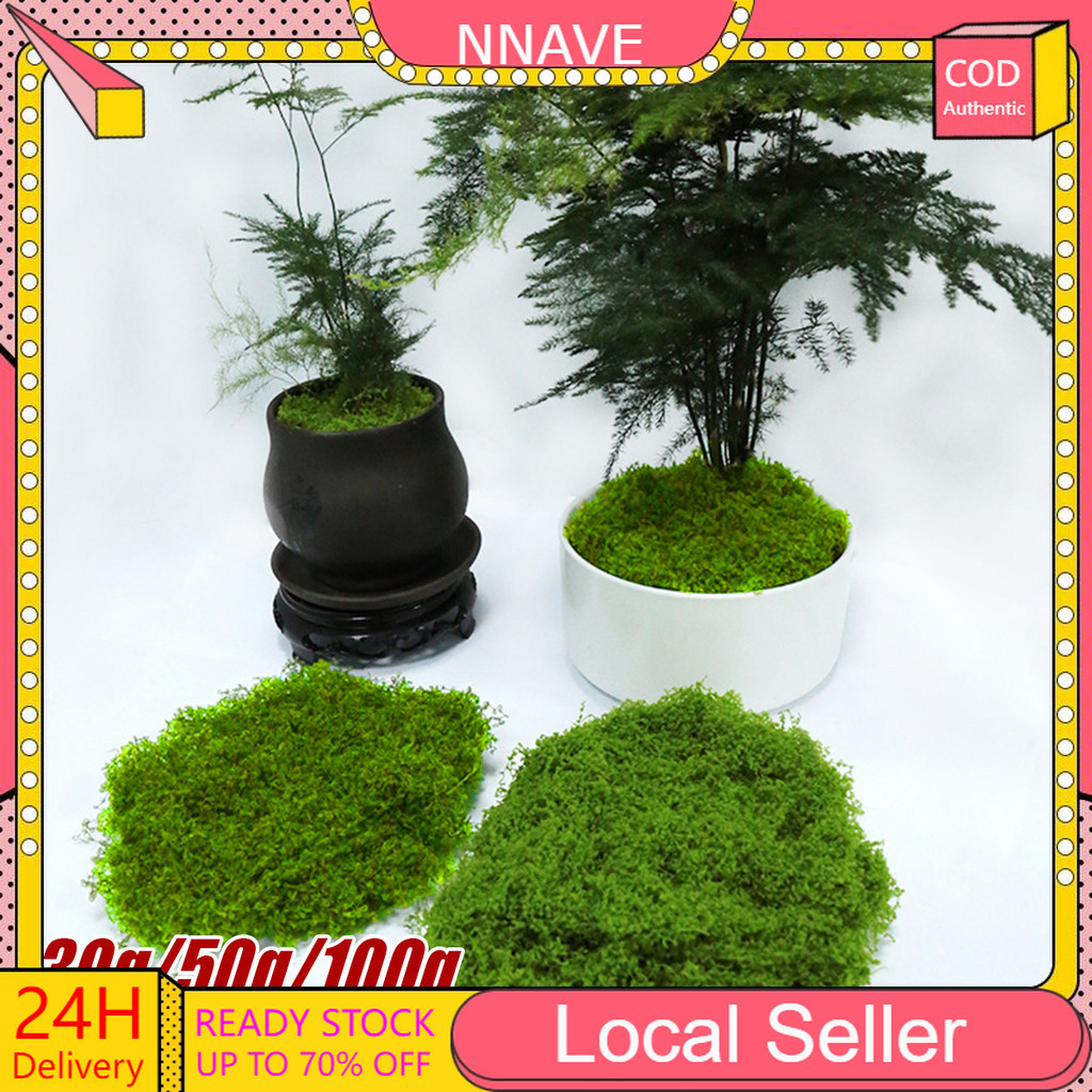 30g/50g/100g DIY Green Artificial Moss Fake Green Moss Grass Plants ...