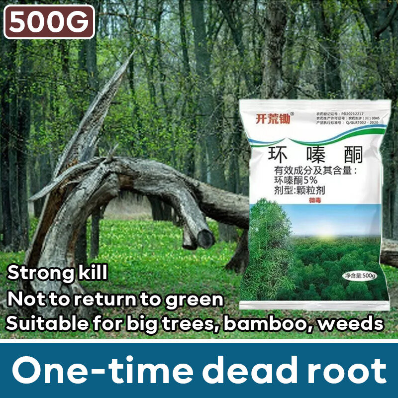 Chemical to Kill big tree roots and bamboo Effective weed control ...