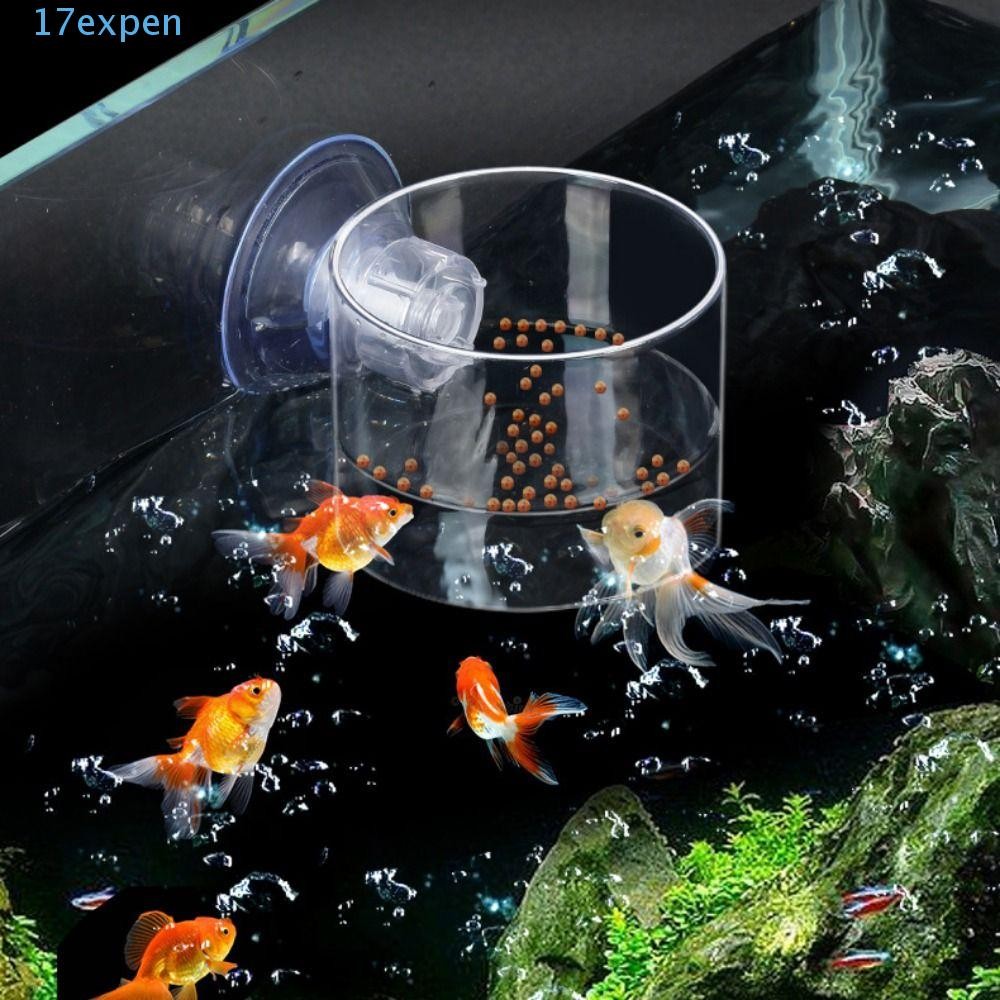 EXPEN Aquarium Suction Cup Feeder, Rectangle/Round Acrylic Acrylic ...
