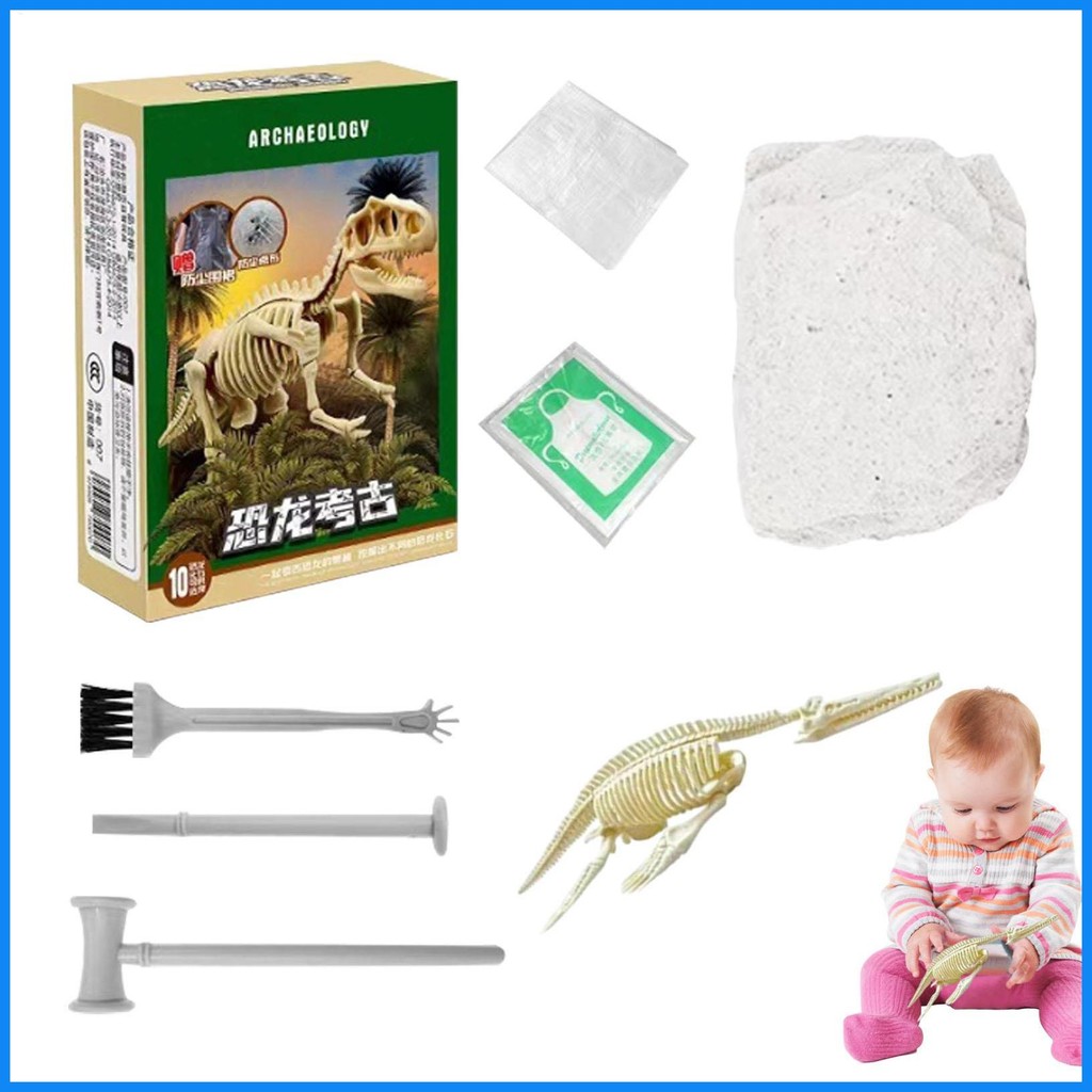 Dinosaur Excavation Dig Kit Skeleton Digging Dino Toys Dinosaur Fossil ...