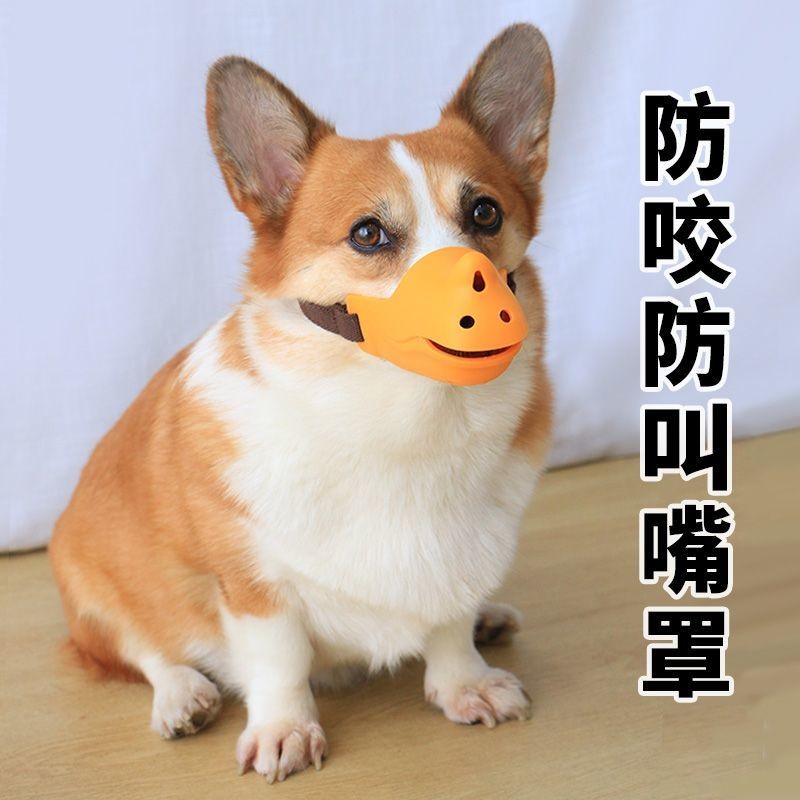 Dog Muzzle Anti-Lick Anti-Bite Anti-Eating Pet Mask Adjustable Anti ...