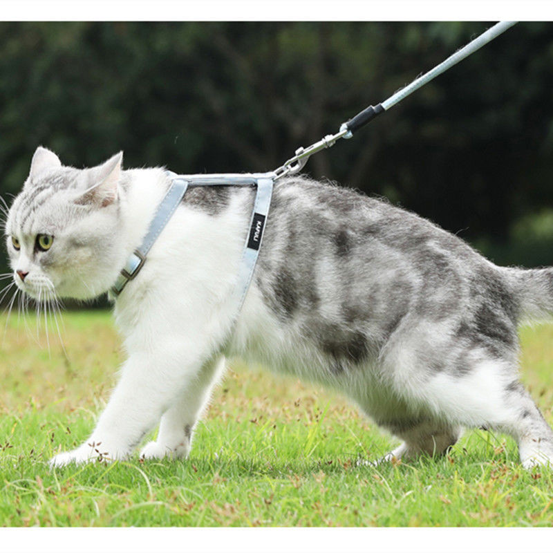 Cat Traction Rope Cat Walking Rope Anti-breakaway Cat Rope Strap Chain ...