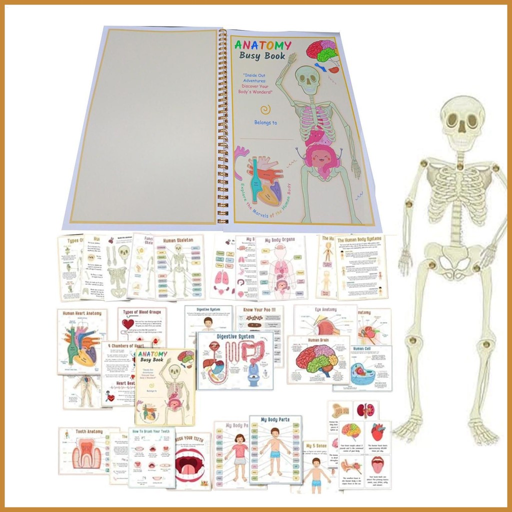 Anatomy Busy Book For Kids Human Body Anatomy Busy Book Book For Ages 4 ...