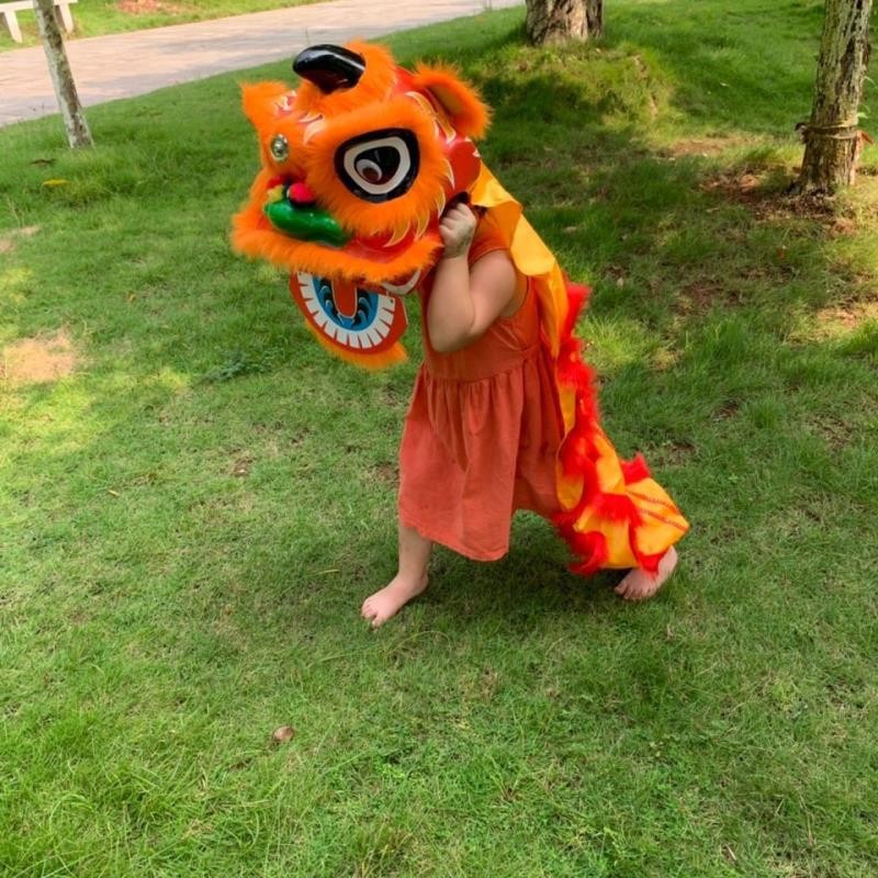 Nanshi Toddler Performance Props Lion Dance Head Children Lion Dance ...