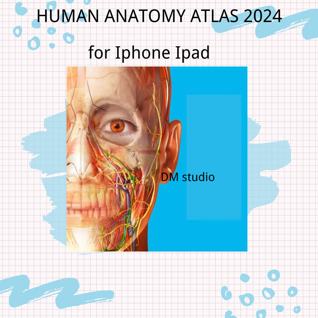 [IOS, ANDRIOD, PC WINDOW] Human Anatomy Atlas by Visible Body for PC ...