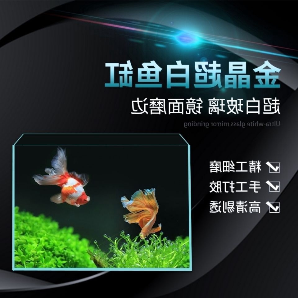 Akuarium kaca ultra-putih Jinjing ruang tamu akuarium lima baris ruang ...