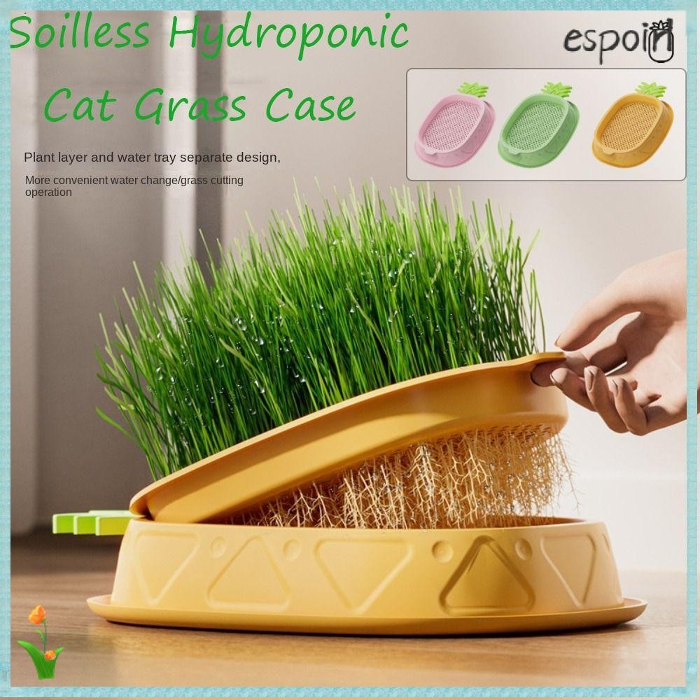 ESPOIR Cat Grass Planting Box, Pineapple Shape Without seeds Planting ...