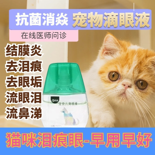 Pet Eye Drops Dogs Cats Anti-Inflammation Remove Tears Film ...