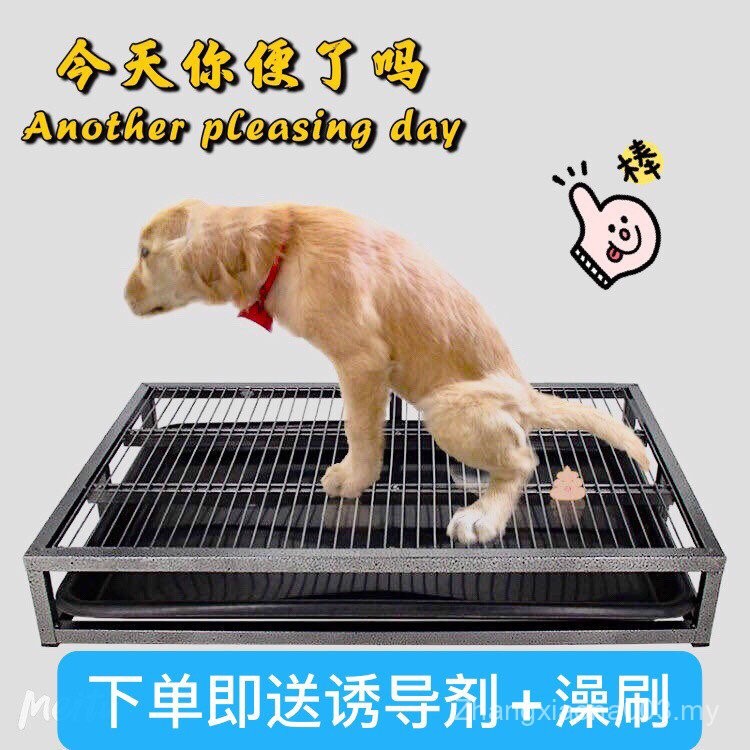 Sg Big Dog Toilet Large Medium Small Teddy Golden Retriever Labrador ...
