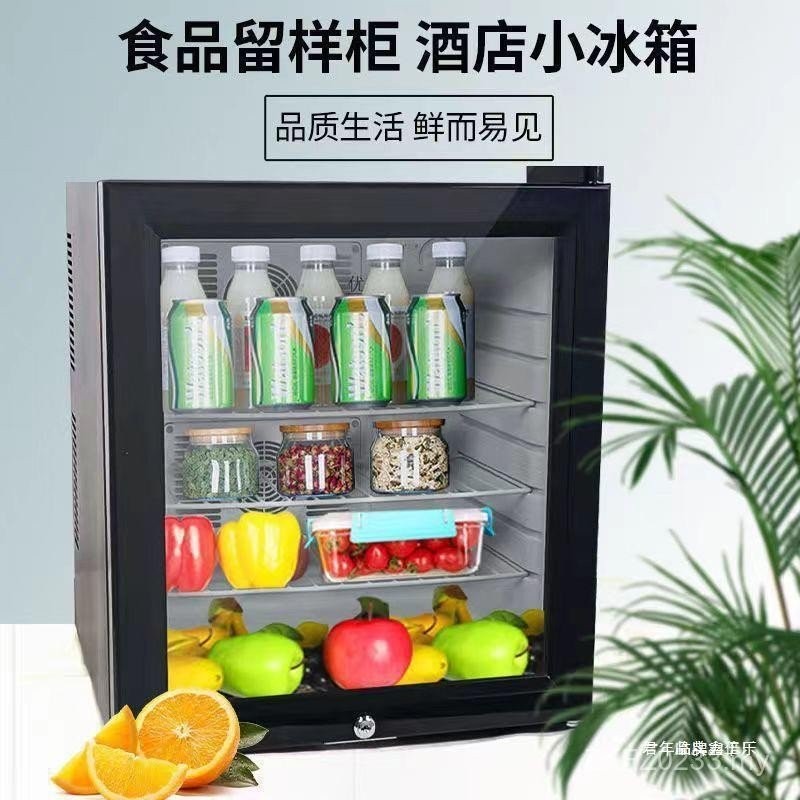 Commercial Household Small Refrigerator Sample Cabinet Hotel Fresh ...