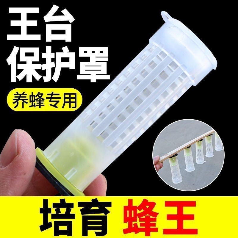 Captive king cage bee full set of king cage meaning bee in bee ...