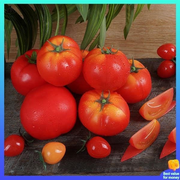 fake eggplant Model tomato simulasi, blok tomato kecil, tomato ceri ...