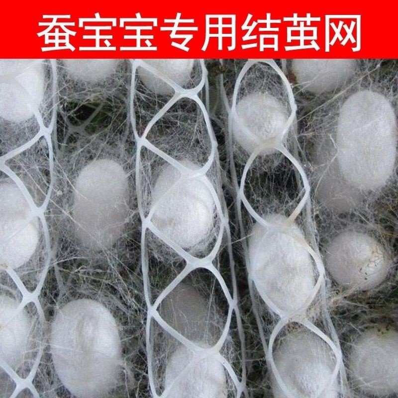 Silkworm Baby Knot Cocoon Net Silk Spit Silk Shelf Silk Nourishing Tool ...