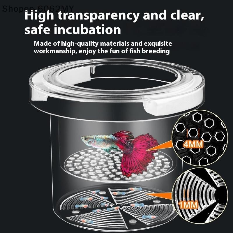 Main Floating Fish Breeding Isolation Box Aquarium Breeder Feeder Fish ...