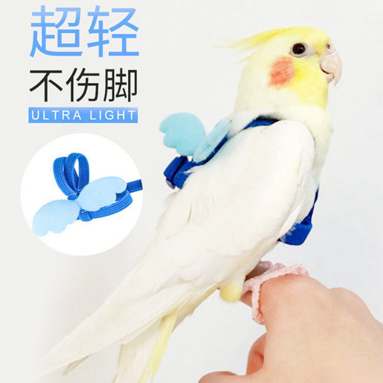 Parrot Flying Rope Bird Walking Handy Tool Xuanfeng Outing Strap Flying ...