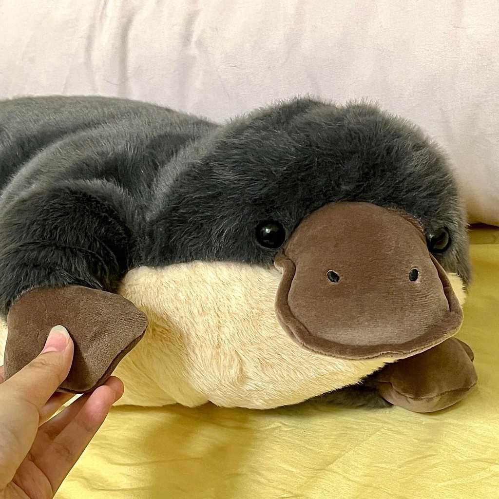 Anak patung Mainan Mewah Platypus Anak patung Keselesaan Realistik ...