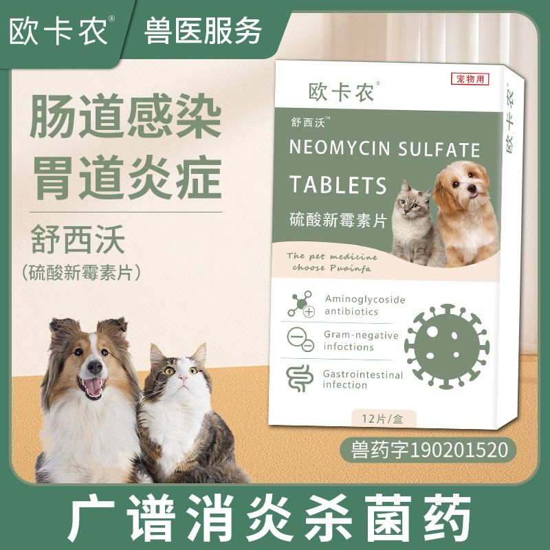 Quick Stomach Inflammation Pet Dog Vomiting Stomach Diagnosis Diagnosis ...