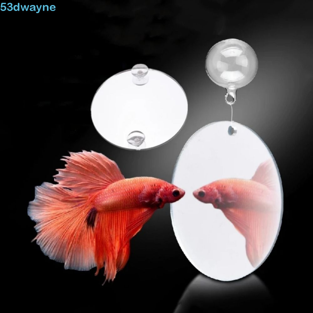 DWAYNE Fish Training Mirror, Decorative Round Aquarium Betta Mirror ...