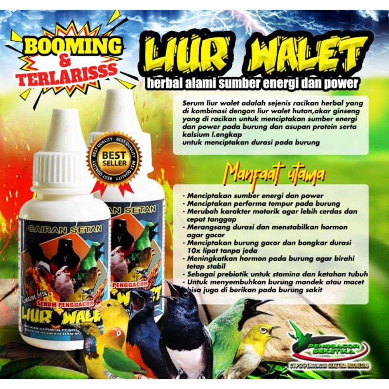 [RBJ] Swallow Saliva Satan Liquid Vitamin Supplement Bird Penggacor ...