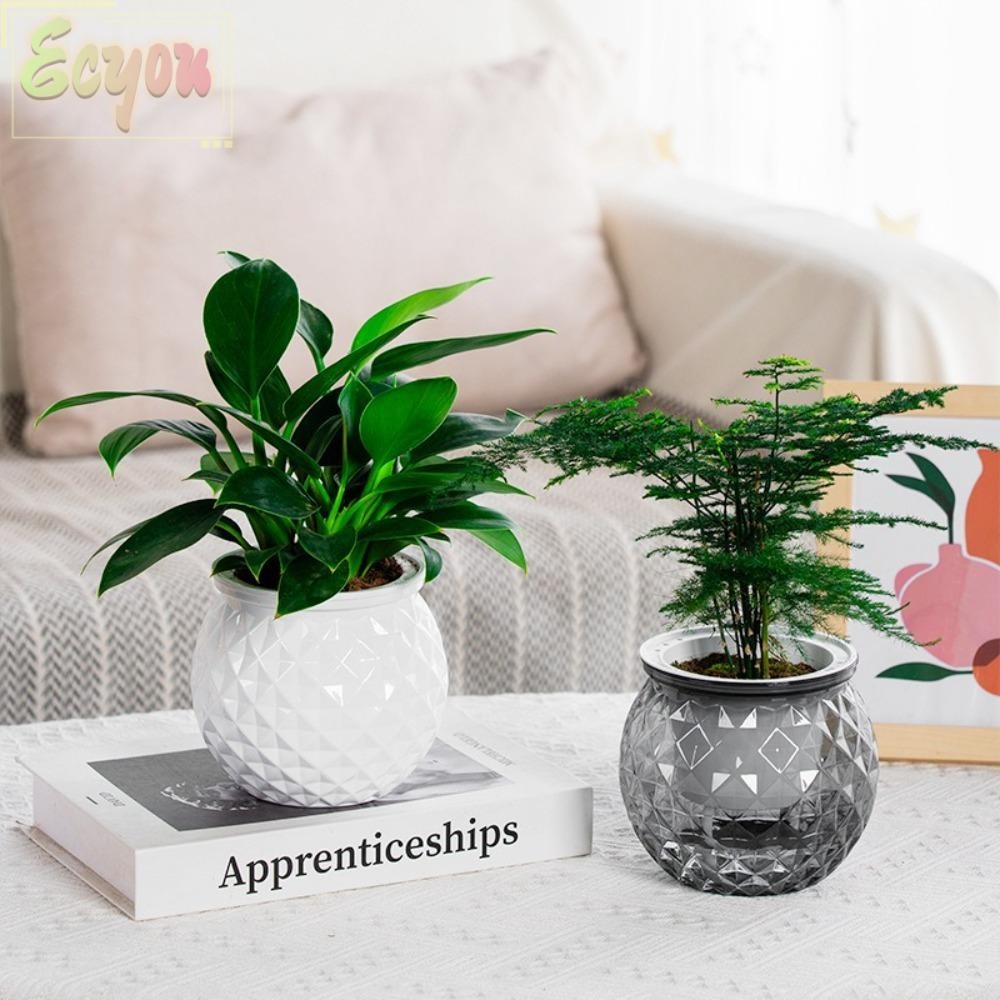ECYOU Hydroponic Plants Pot, Removable Plastic Flowerpot, Self Watering ...