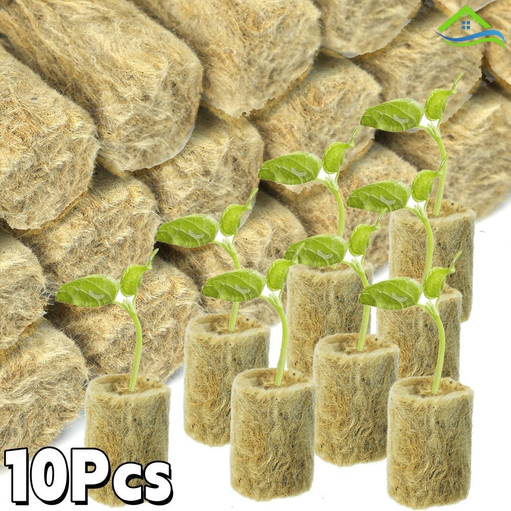 10Pcs Simple Practical Cylindrical Seedling Grow Media Plugs ...