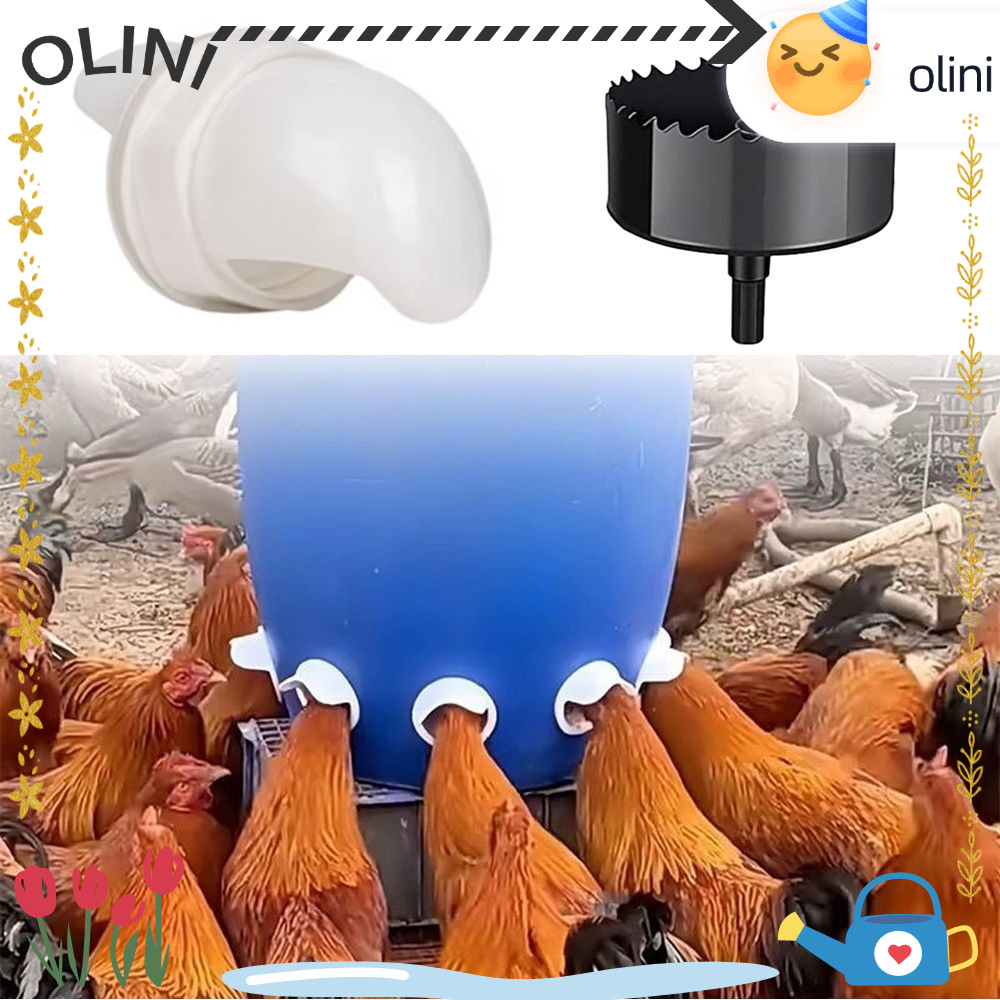 OLINI Chicken Feeder, Rain Proof Automatic Duck Feeder, Easy to Use DIY ...