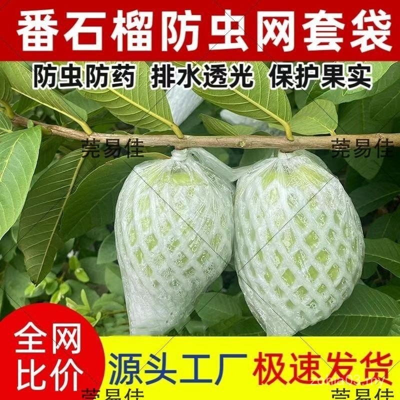 Guava Mesh Bag Fruit Insect-Proof Integrated Bag Guava Bag Foam ...