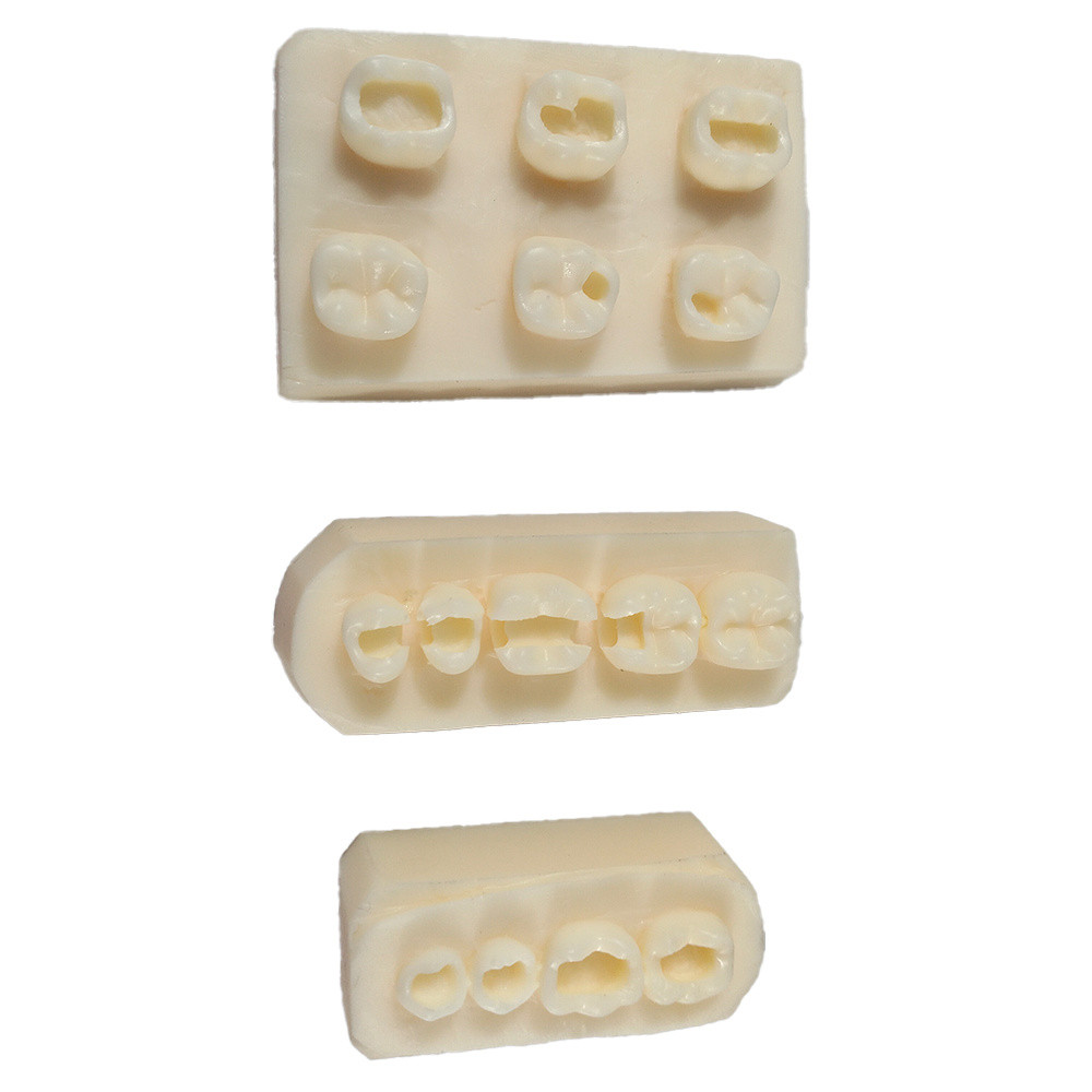 Dental practice resin blocks Practice filling tooth root canal Filling ...