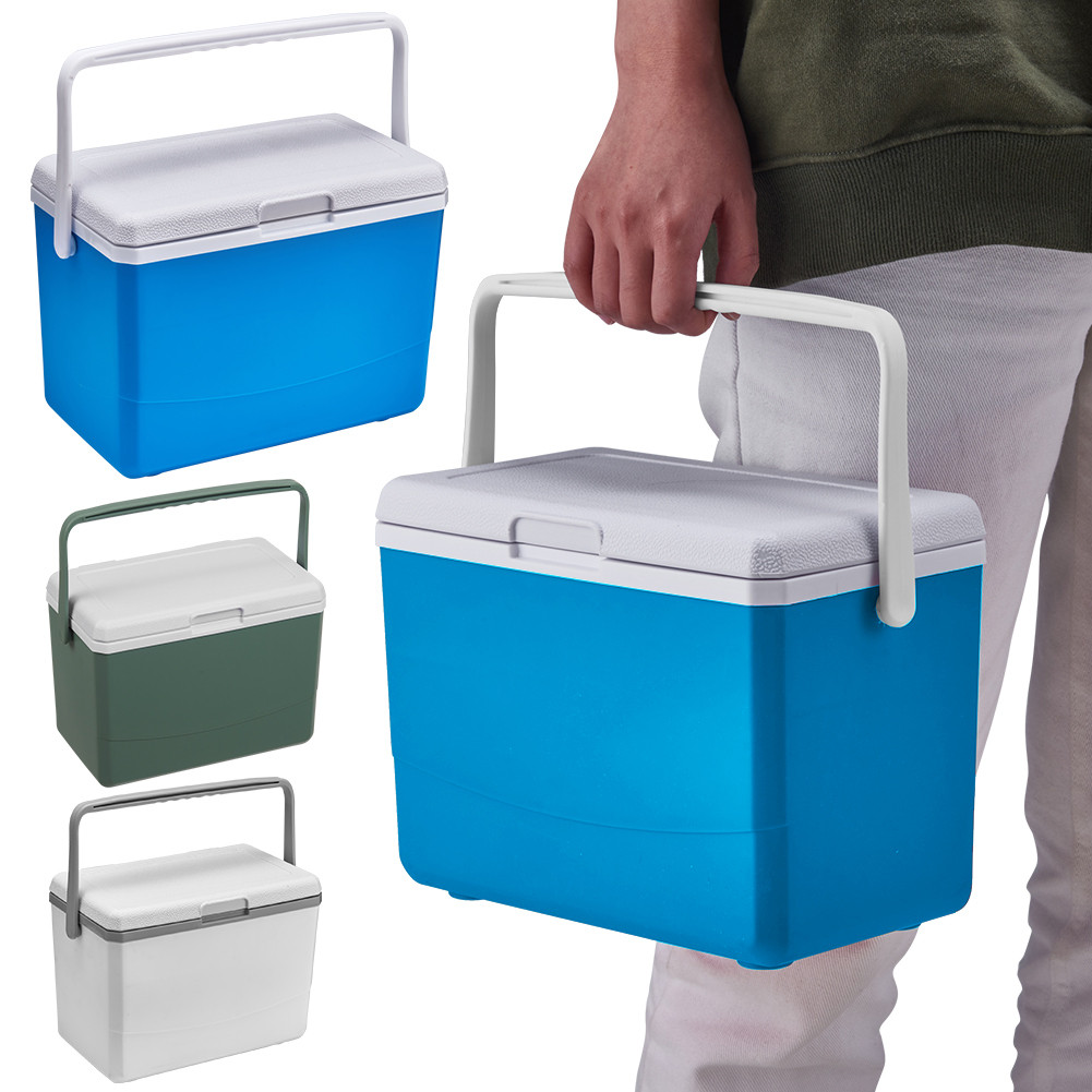 3L Insulated Portable Cooler with Handle Mini Freezer Fridge for Beach ...