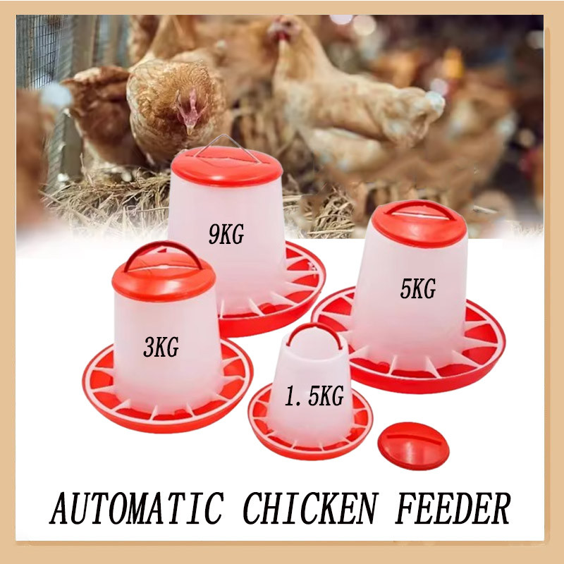 Automatic Chicken Feeding Poultry Feeder Animal Fodder Barrel Duck ...