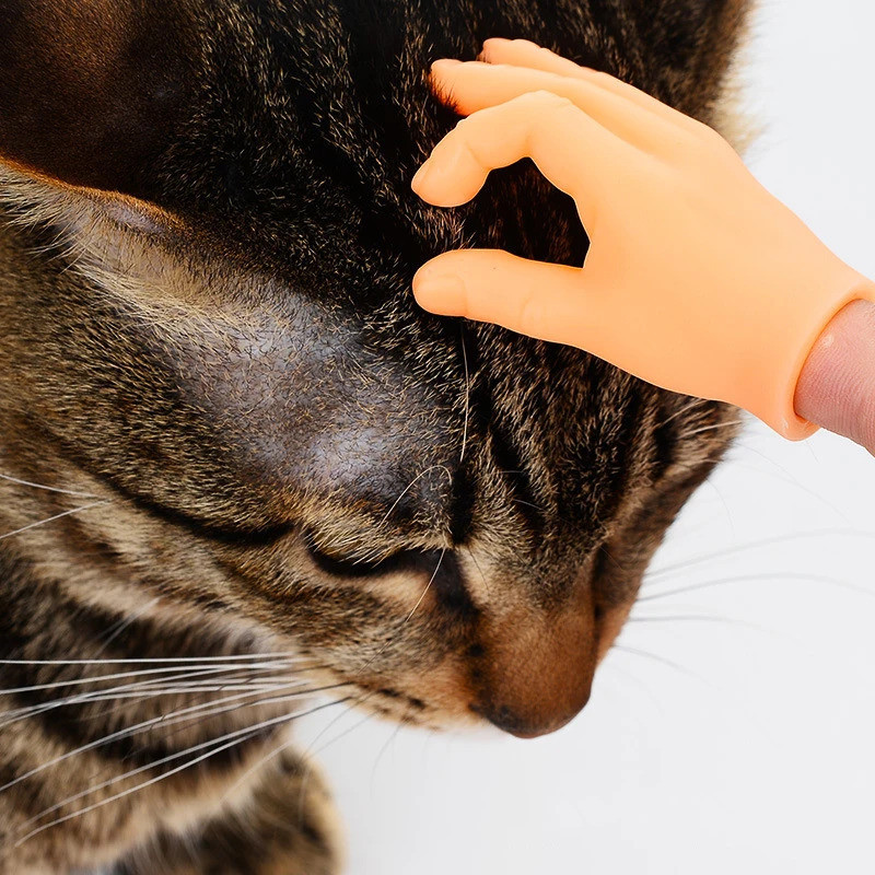 Cat Toys Fun Small Gloves Cat Finger Sleeve Mini Hand Model Silicone ...