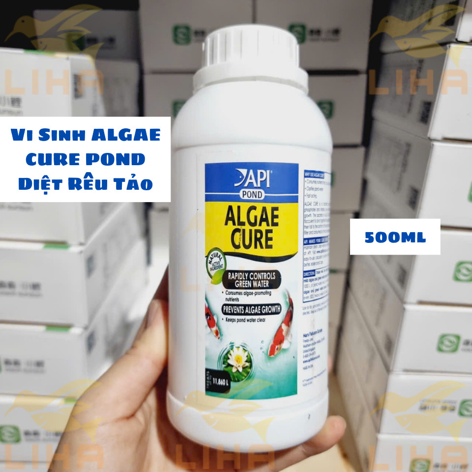 Api ALGAE CURE POND Microbiology - Premium ALGAEFIX POND ALGAE Killing ...