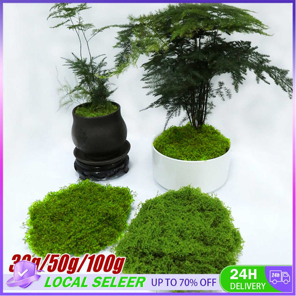 30g/50g/100g Artificial Moss Grass oss Fake Green Moss Grass Plants ...