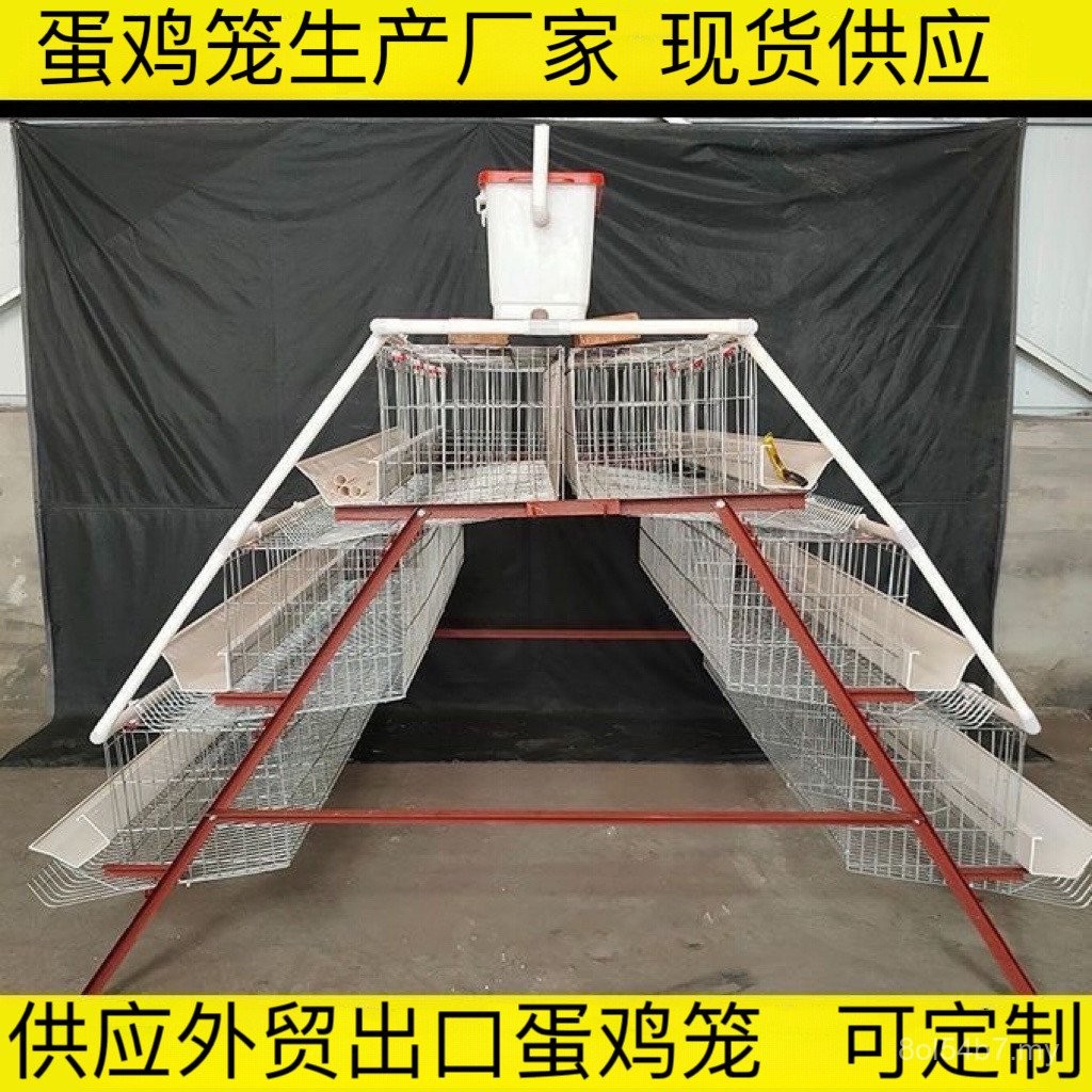 Egg Cage Manufacturer Stepped Egg Chicken Cage Chicken House Household ...