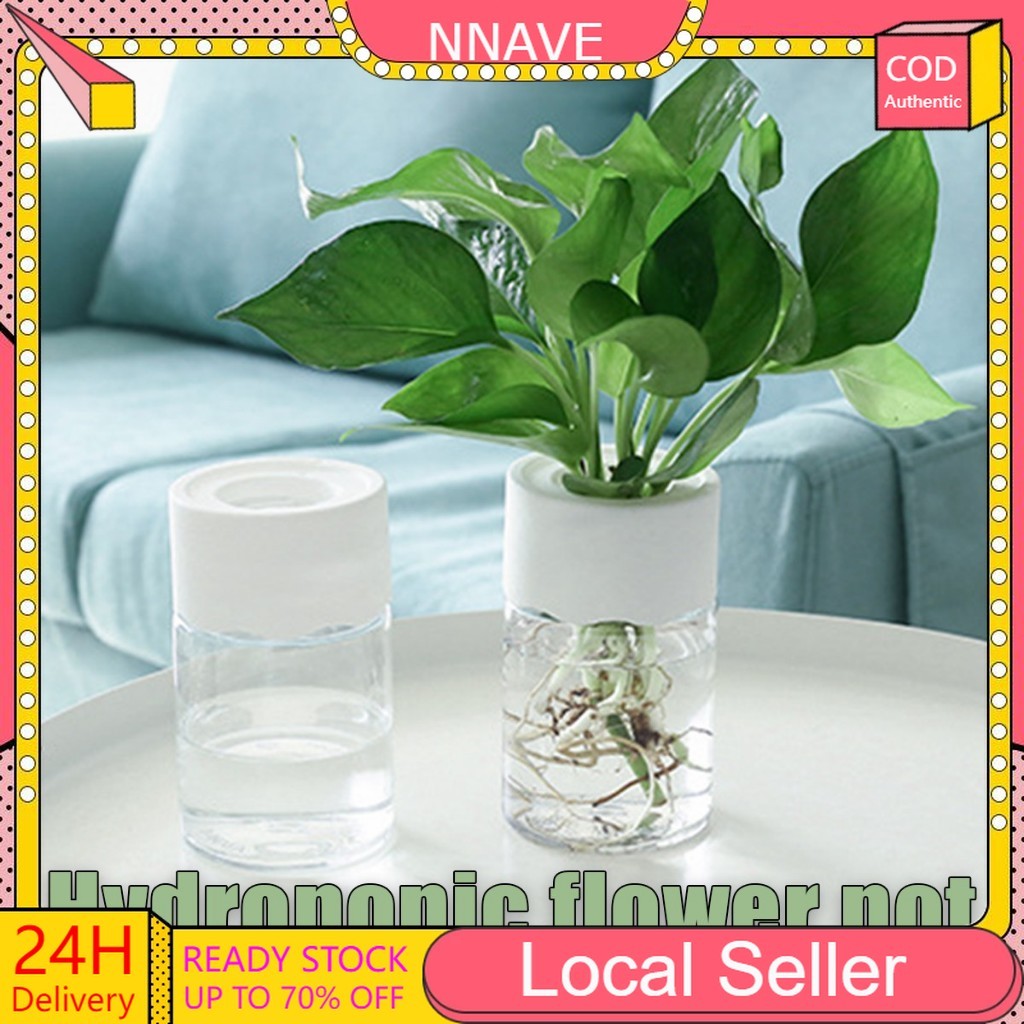 Self Absorption Plant Transparent Hydroponic Flower Pot Pasu Bunga ...