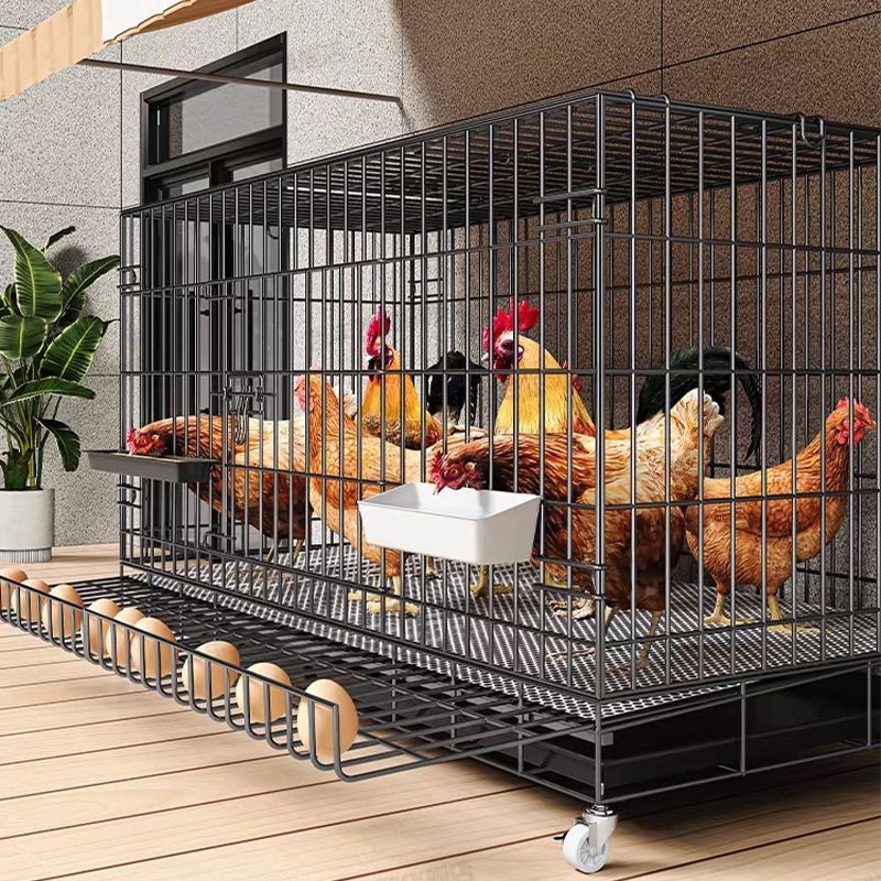 Chicken Cage Household Chicken Cage Large Extra Large Automatic Dung ...