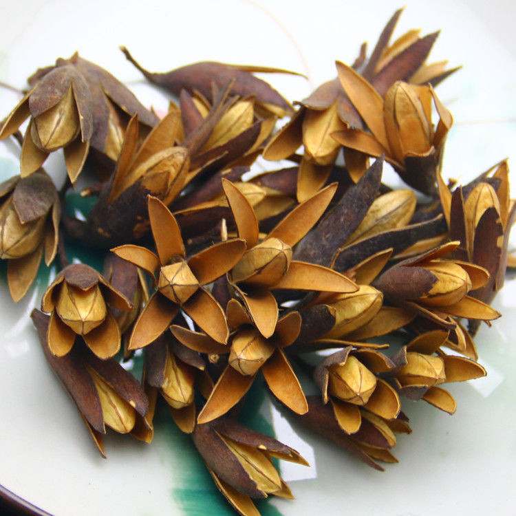 Biji toon liar semula jadi, biji toon, biji toona Sinensis, biji toon ...