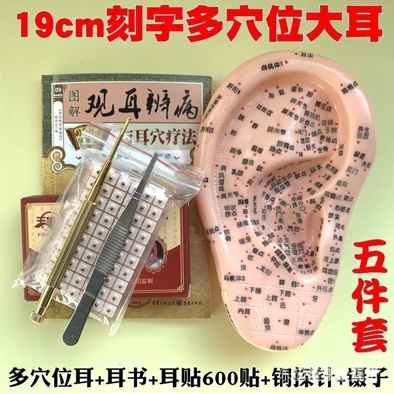 Ear patch ear models ear auricular point sticker pressure bean ear ...