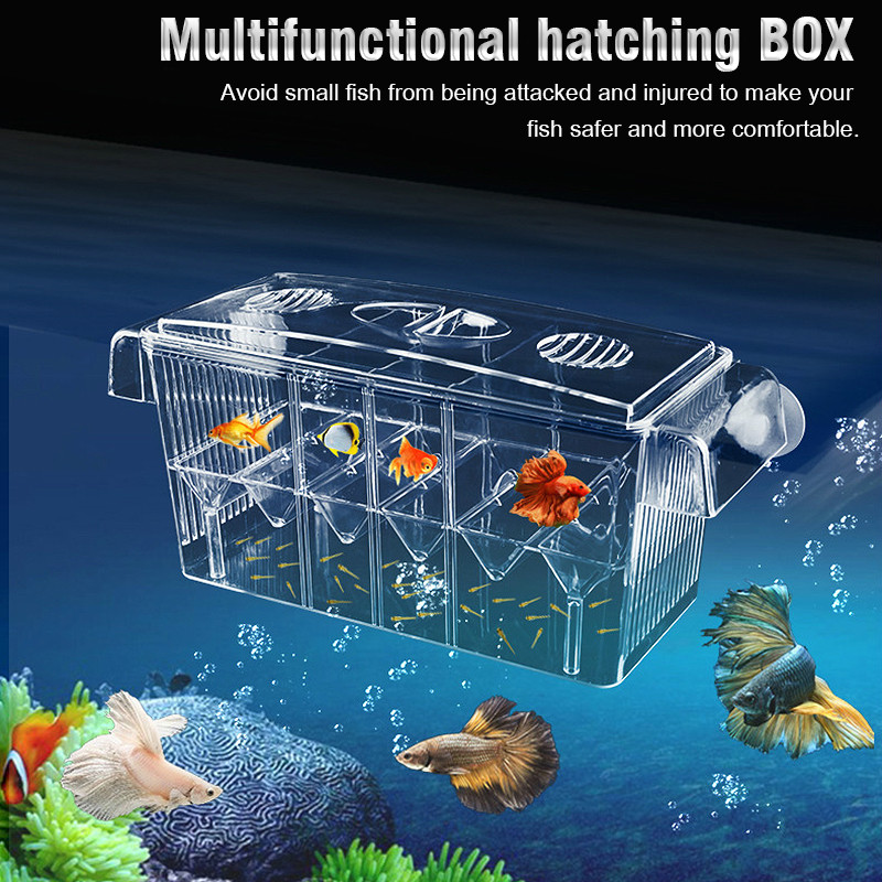 Aquarium Fish Breeding Box Fry Tank Hatchery Baby Trap Guppy Breeding ...