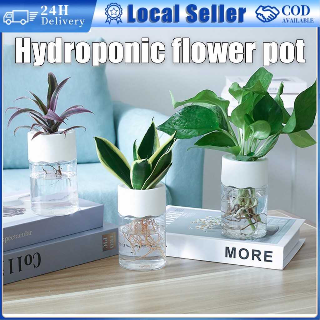 INS Style Transparent Hydroponic plant pot Portable Soilless Culture ...