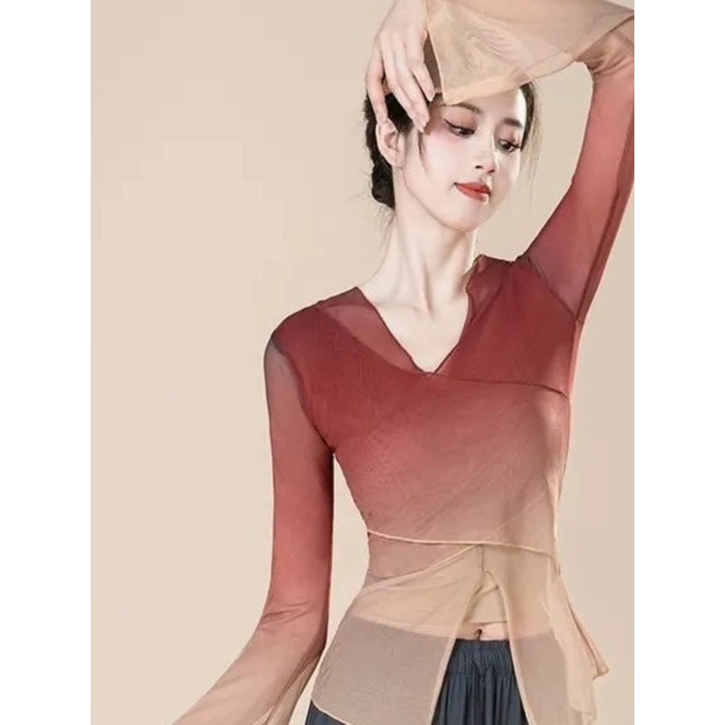 2024 Female Classical Dance Gradient Costume Gauze Practice Clothes ...