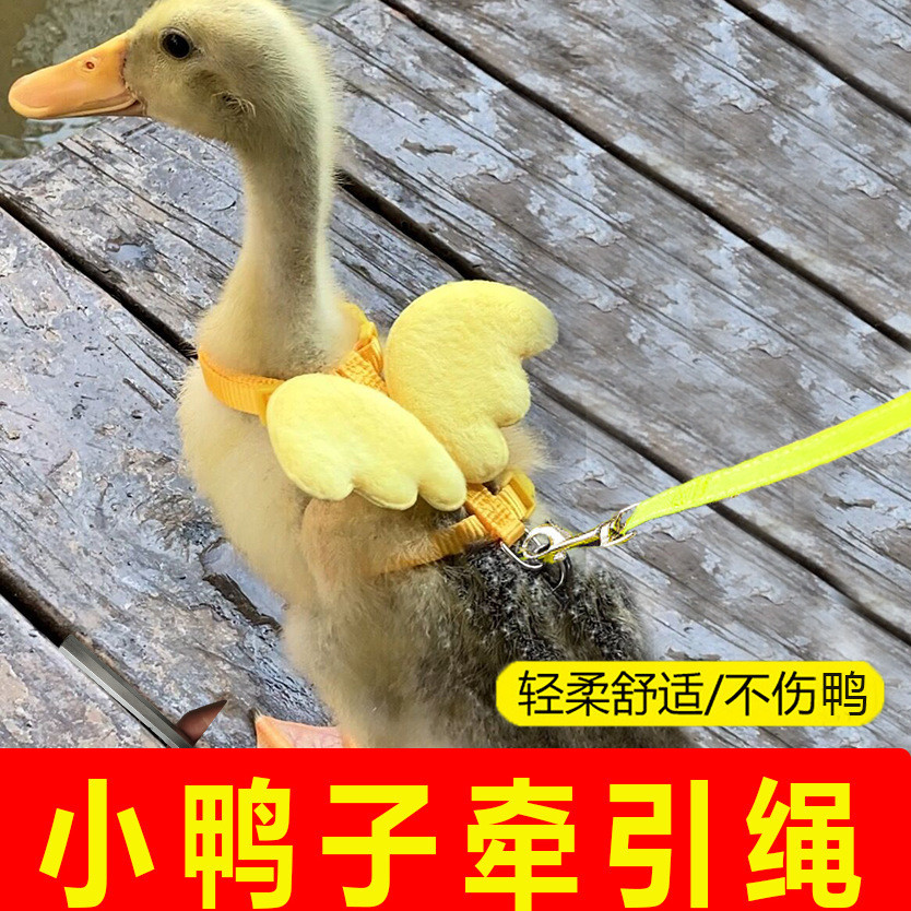 Little Duck Traction Rope Cole Duck Chick Dedicated Outing Rope Duck ...