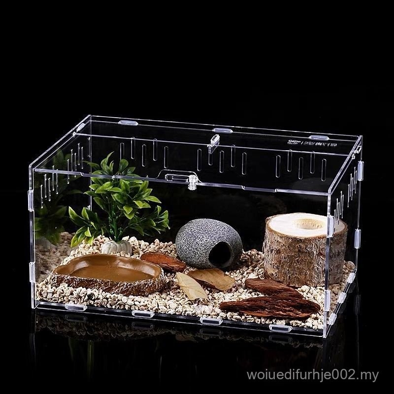 Hot Sale Climbing Pet Acrylic Breeding Box Reptile Breeding Box Lizard ...