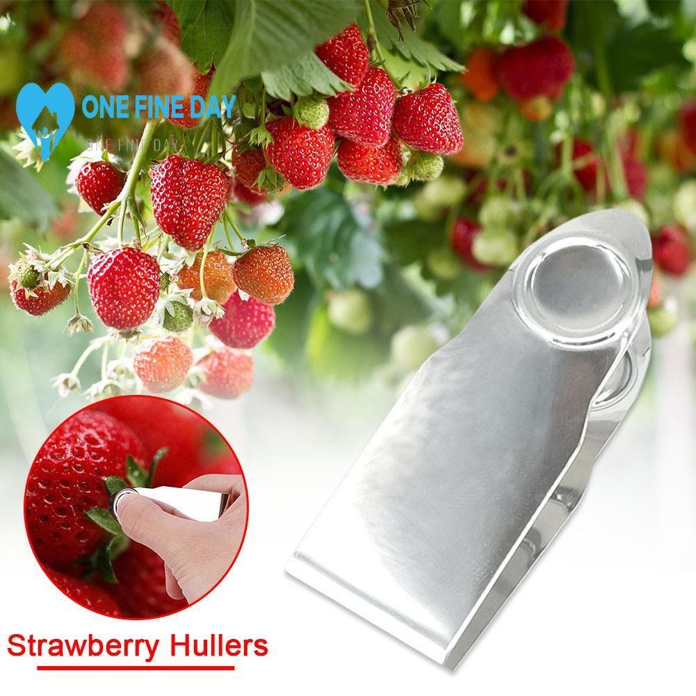 Portable Strawberry Tool Leaf Peeler Pitter Fruit Corer Stem Fruits Remover Vegetables Eye V7t7 ...