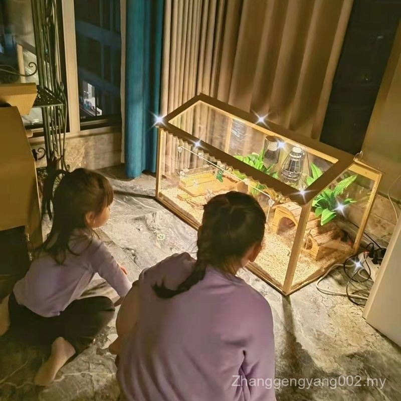 Luding Chicken Hot Supplies Small House Cage My Box Breeding Young ...