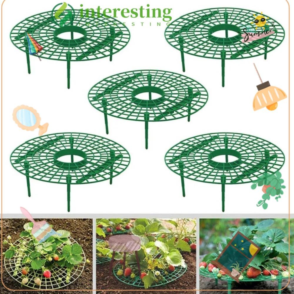 INTERESTING Gardening Stand, Protecting Vines Climbing Vine Pillar ...