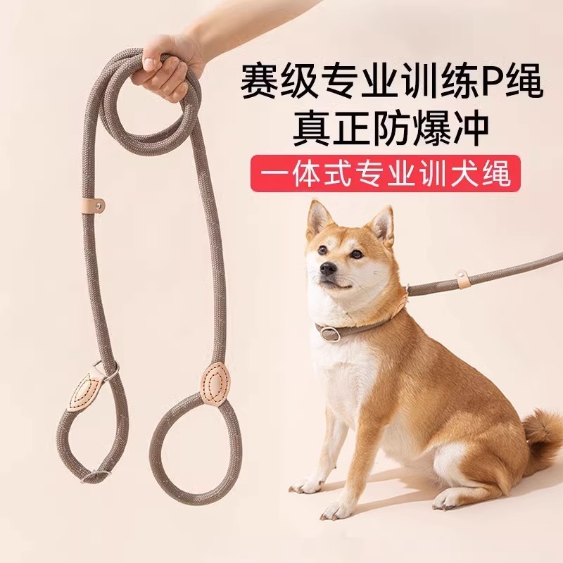Dog Rope Explosion-Proof Punch P Chain Dog Walking Leash Break-Proof ...