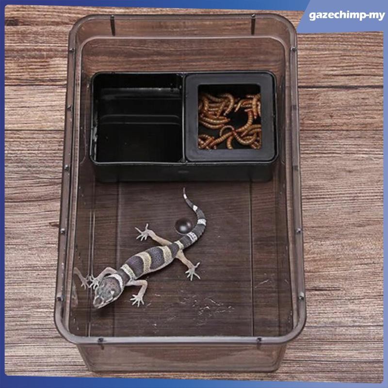 [GazechimpMY] Turtle Tank, Aquarium, Turtle Transport Container, Turtle ...